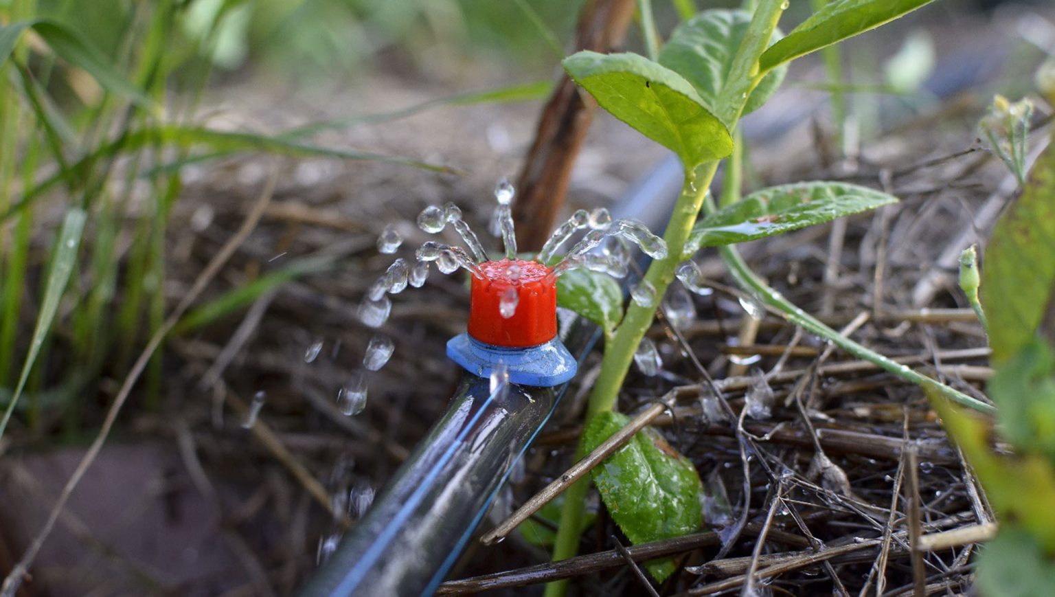 A Homeowner’s Guide to Aerobic Septic System Laws & Regulations in ...